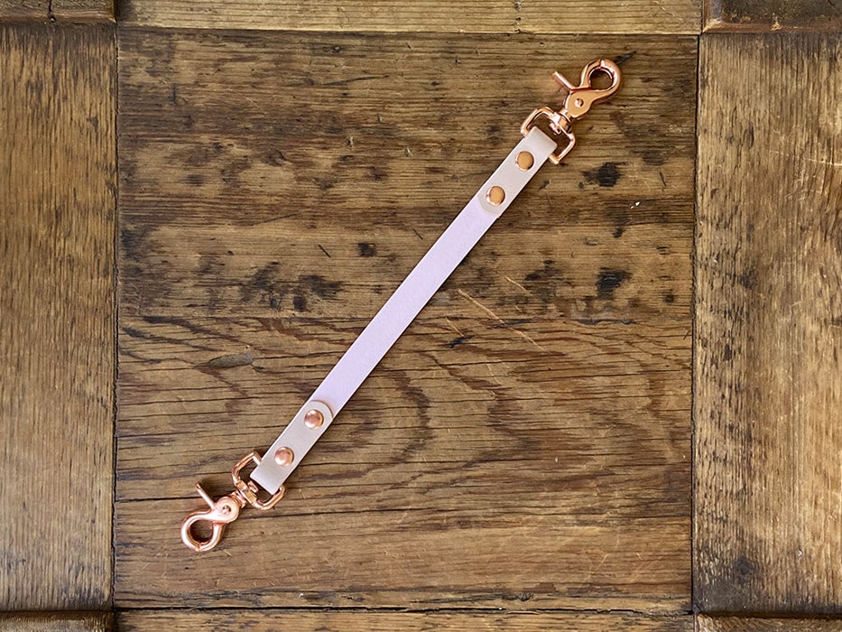 Biothane Safety Strap | Ted and Patrick