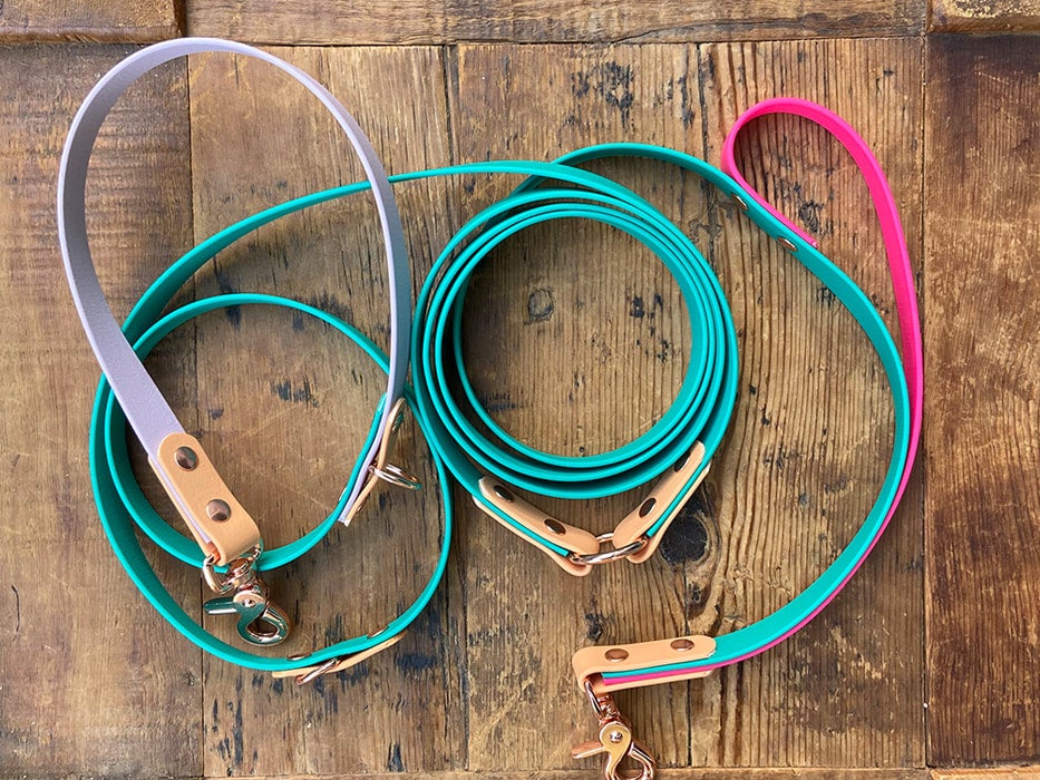 Biothane Multiway Traffic Lead | Ted and Patrick